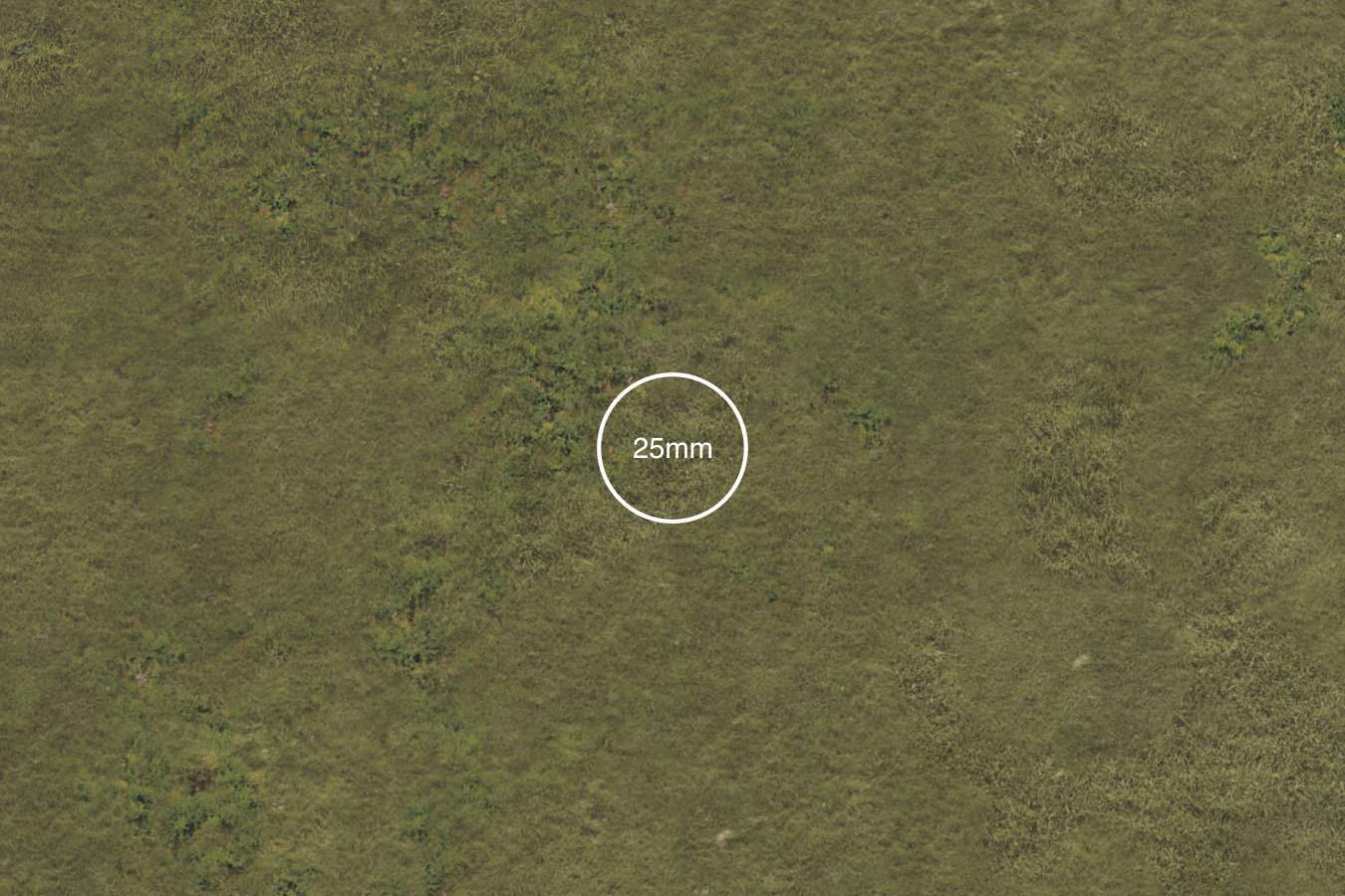 Tabletop Battle Mat Weide | 4 x 4 Fuß | 49,95€ - Dunkelwald.Store