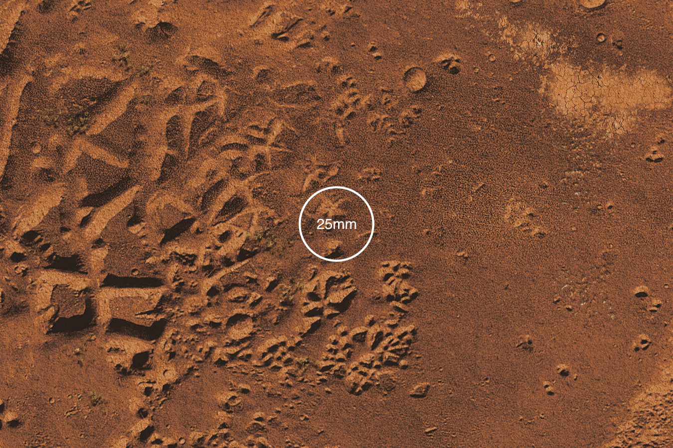 Tabletop Battle Mat Mars | 3 x 3 Fuß | 24,95€ - Dunkelwald.Store